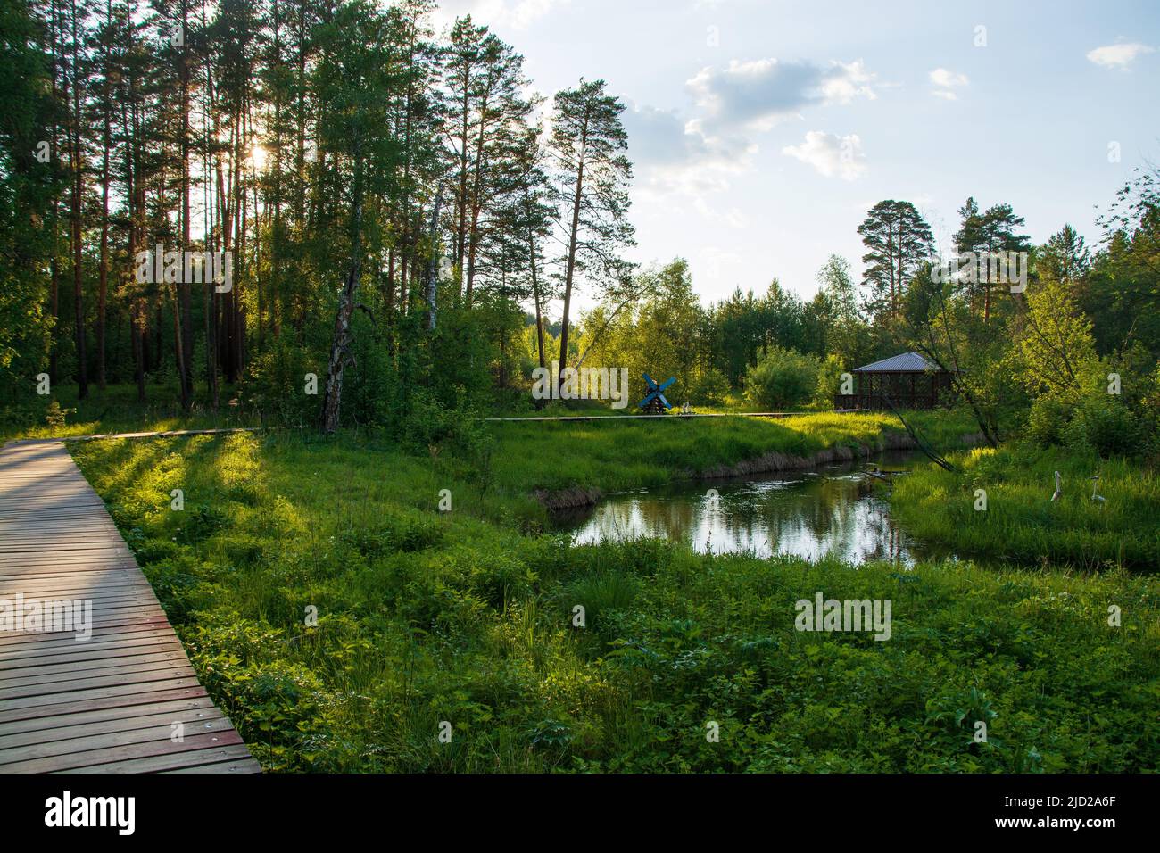 a tourist road made of wooden bars in the forest.view of the forest ...