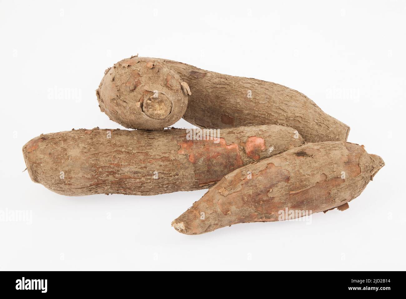 Raw cassava starch - Manihot esculenta. on white background Stock Photo ...