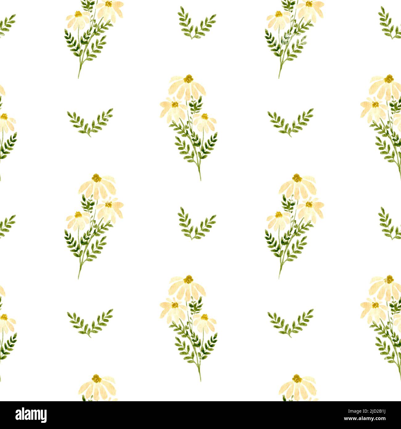 Watercolor floral seamless pattern. Pattern of meadow flowers. Floral ...