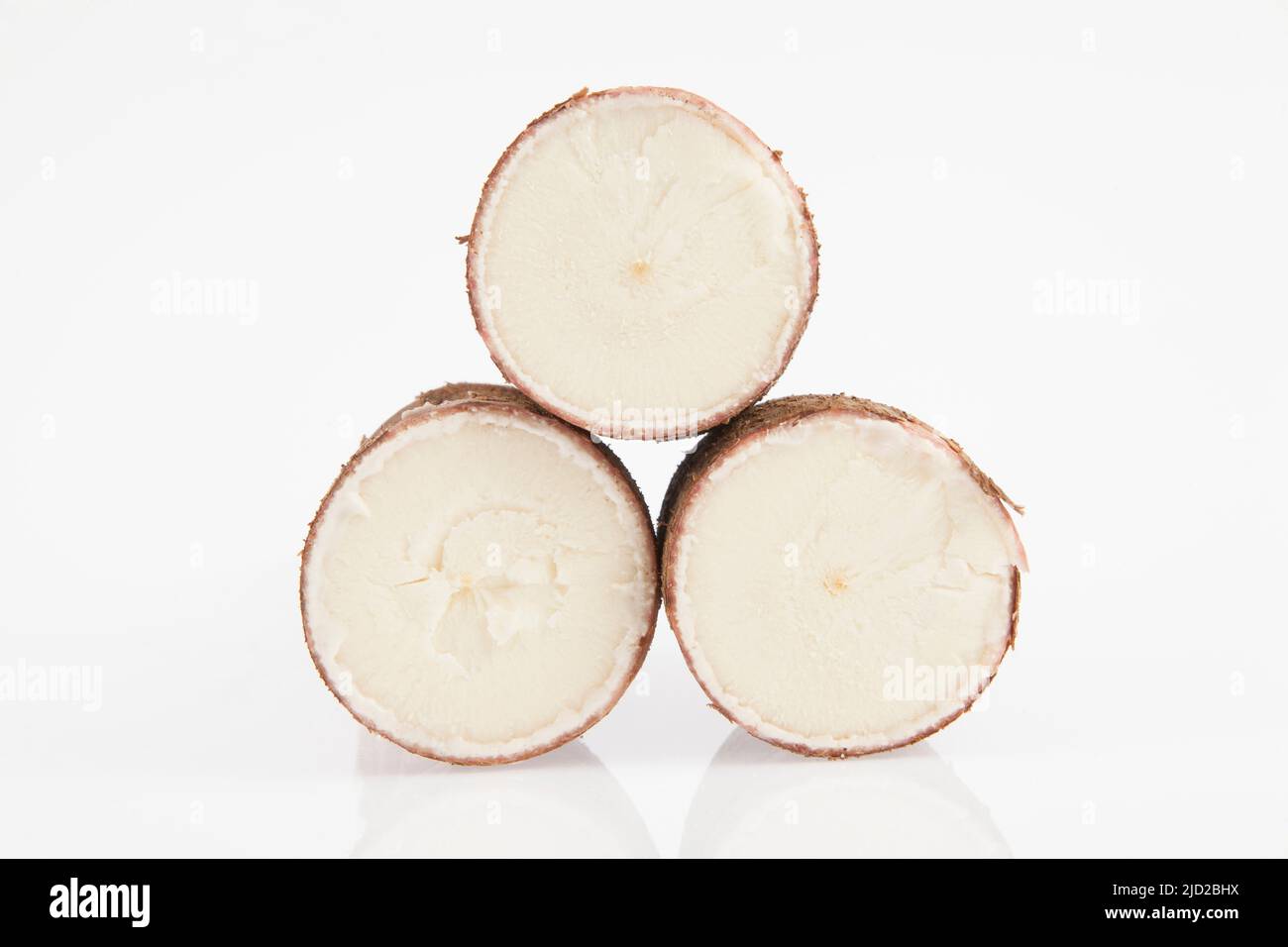 Cassava - Manihot esculenta; photo on white background Stock Photo - Alamy