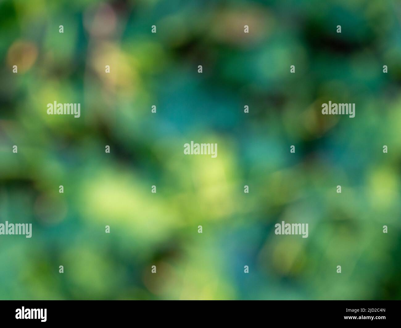 Abstract green defocused background. Wallpaper image art Stock Photo ...