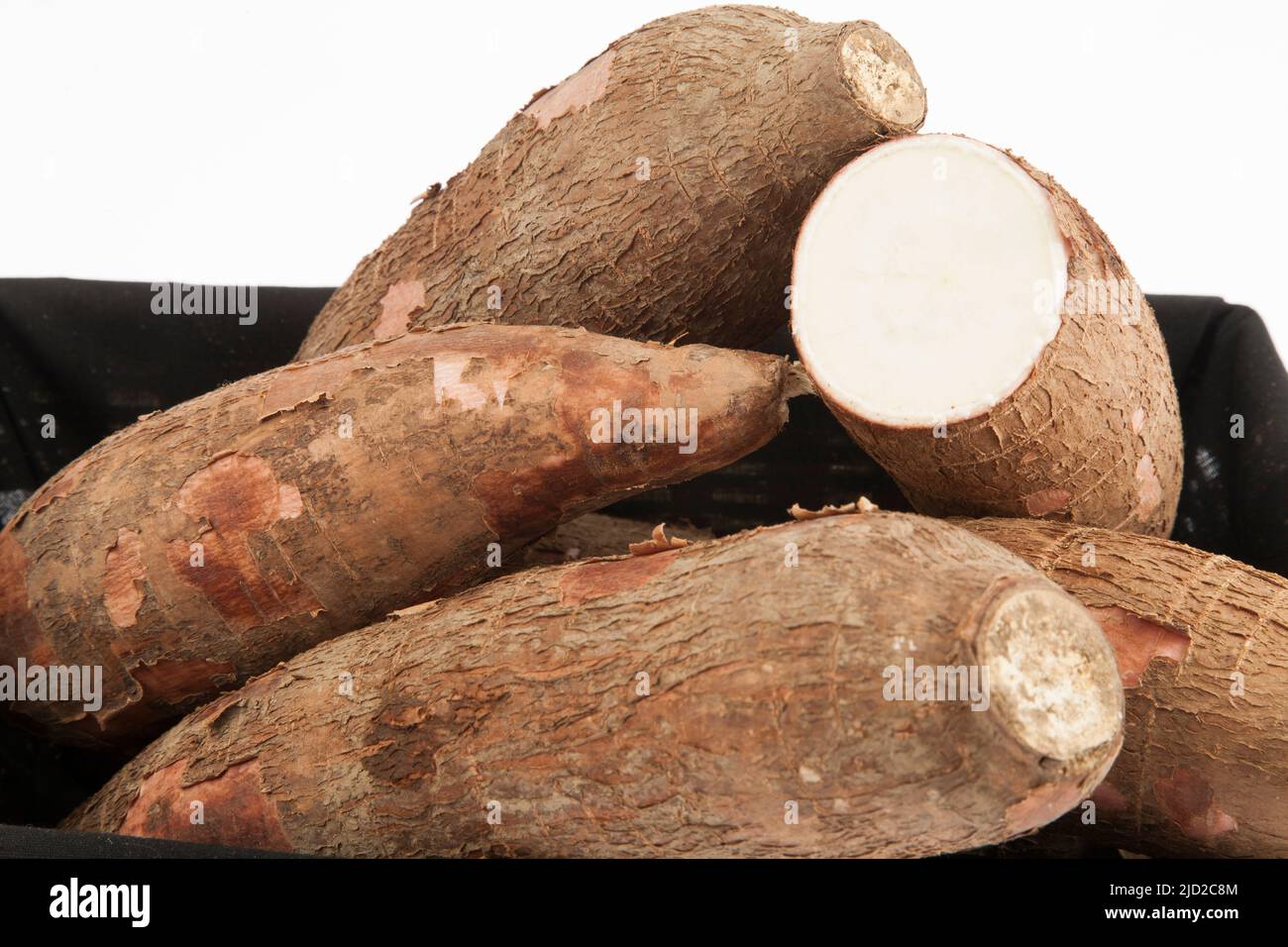 Cassava - Manihot esculenta; photo on white background Stock Photo - Alamy