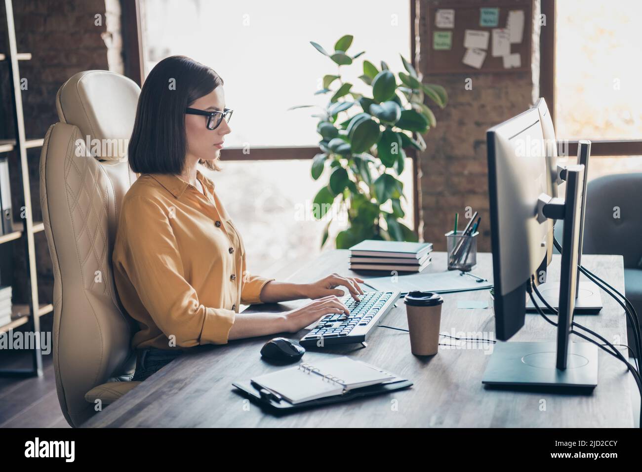 Profile portrait of focused intelligent executive director lady sit ...