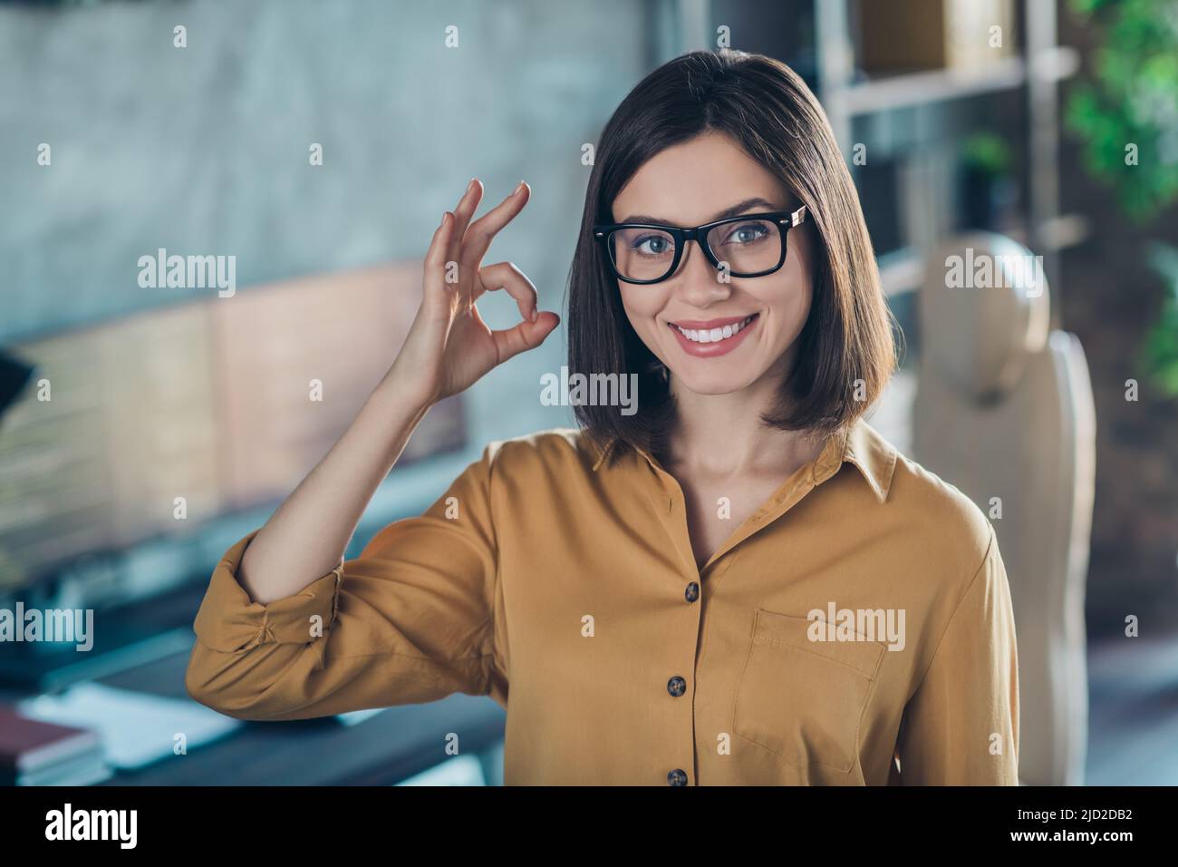Portrait of attractive cheerful girl geek showing ok-sign network support workshop at workplace ...