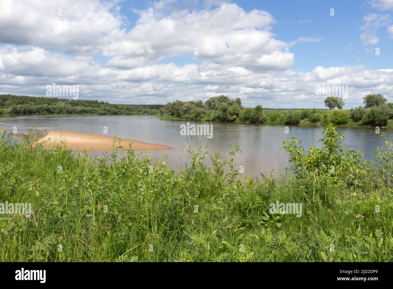Summer landscape. River, sandbank and, fields and a blue sky with white ...