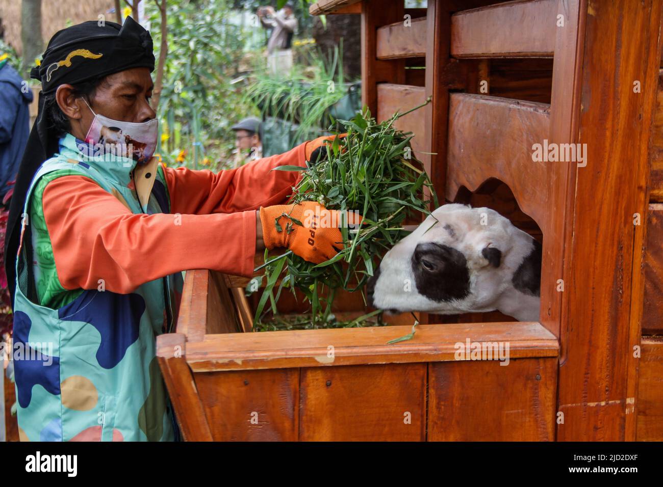 Bandung, West Java, Indonesia. 17th June, 2022. An officer feeding ...