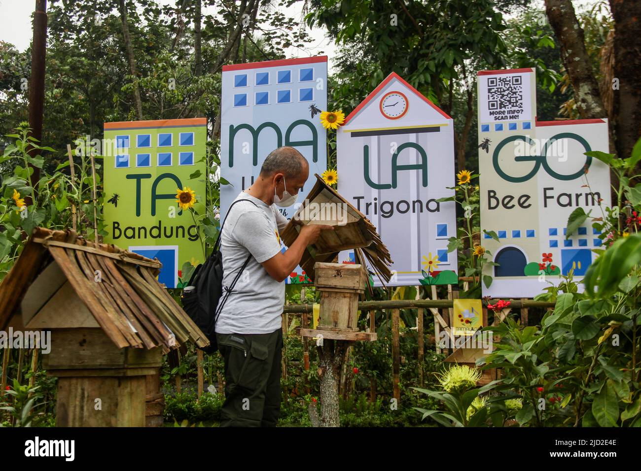 Bandung, West Java, Indonesia. 17th June, 2022. Beekeepers are seen ...