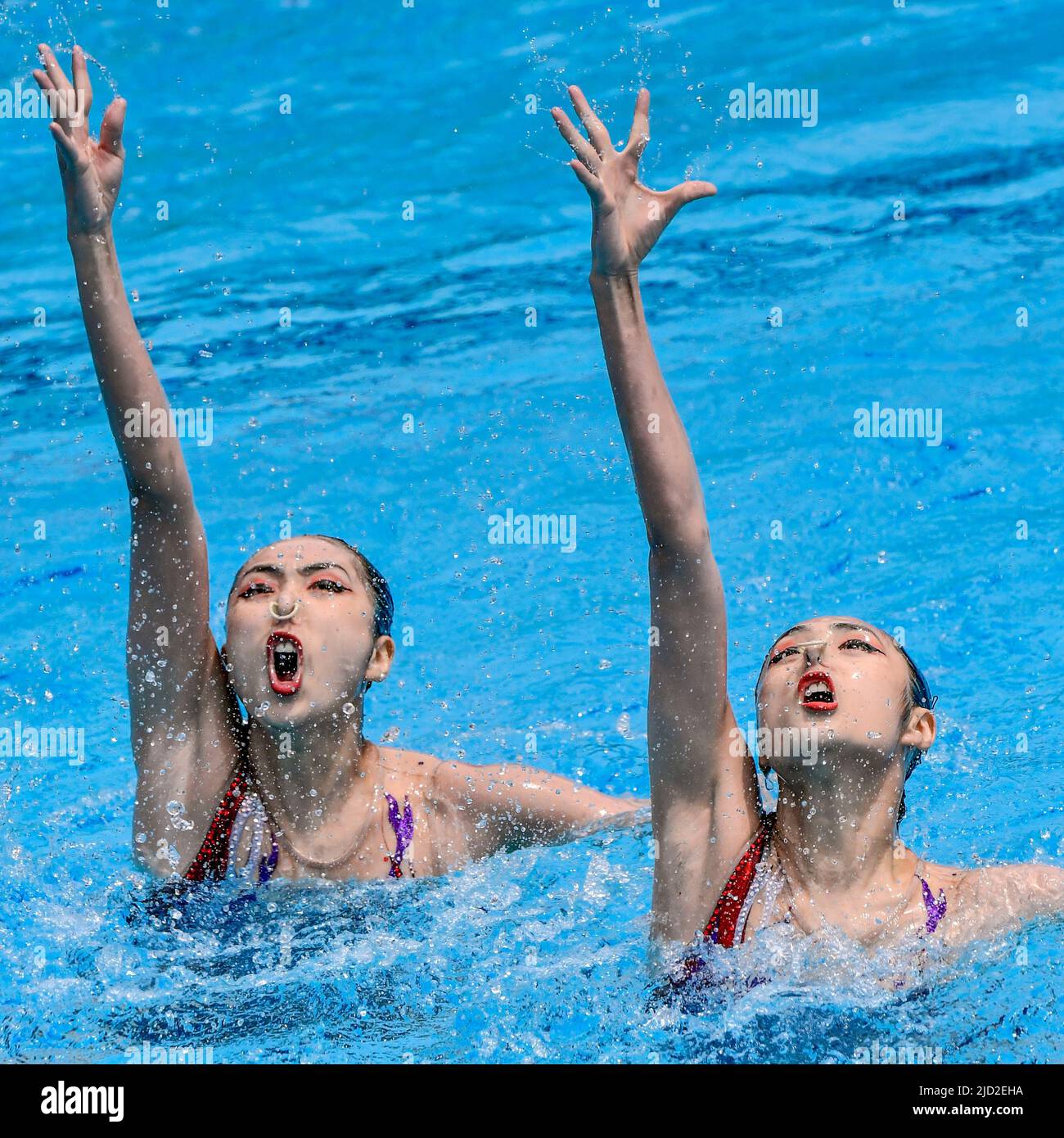 Wang qianyi hi-res stock photography and images - Alamy
