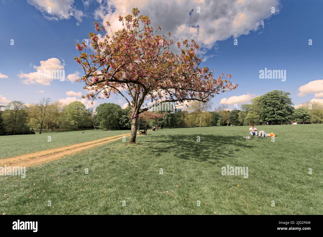 Spring colour in Bath Stock Photo - Alamy