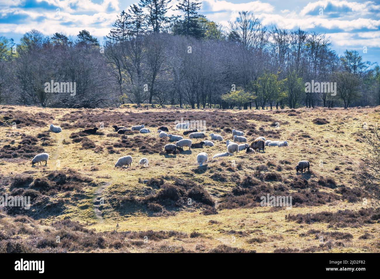 Power staition lake dam in Holstebro in Denmark Stock Photo - Alamy