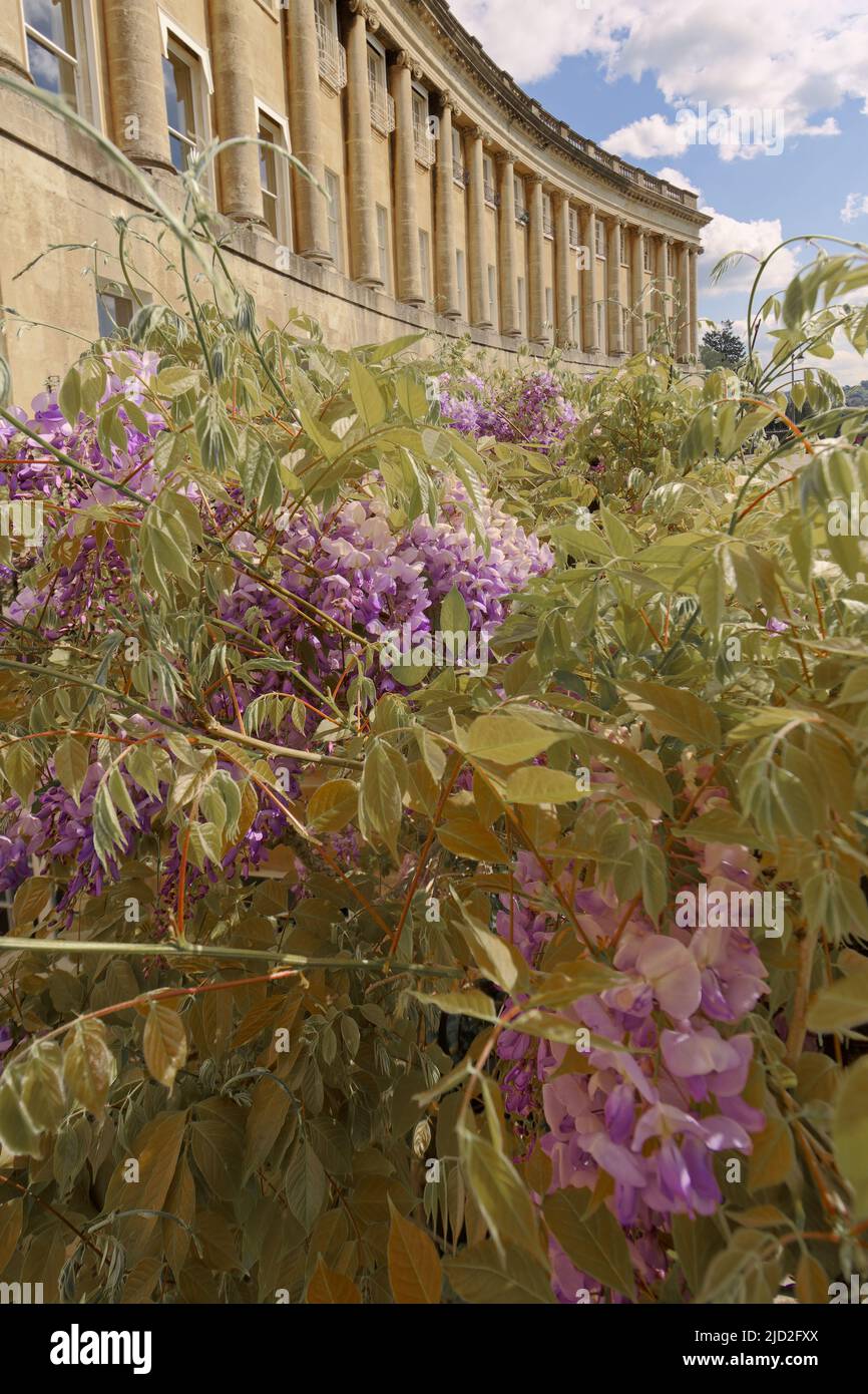 Spring colour in Bath Stock Photo - Alamy