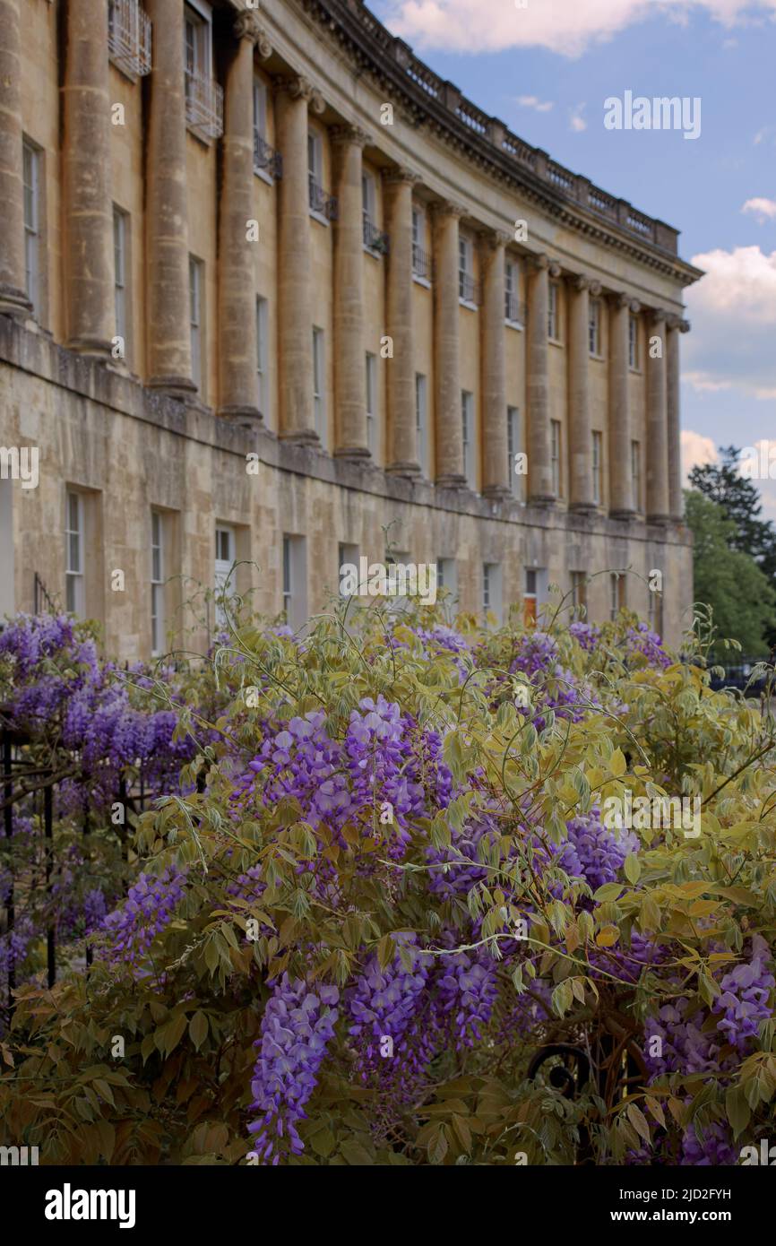 Spring colour in Bath Stock Photo - Alamy