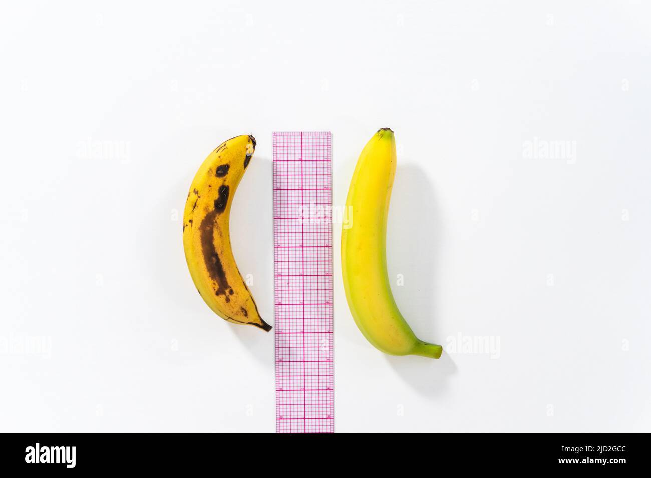 Flat lay. Measuring riped and overhyped bananas with a ruler Stock ...