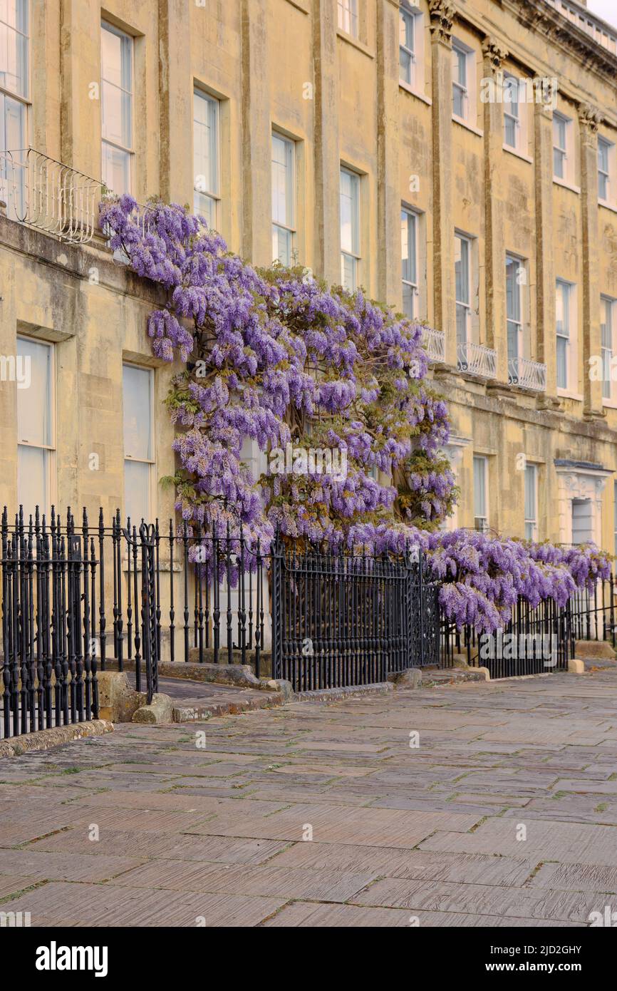 Spring colour in Bath Stock Photo - Alamy