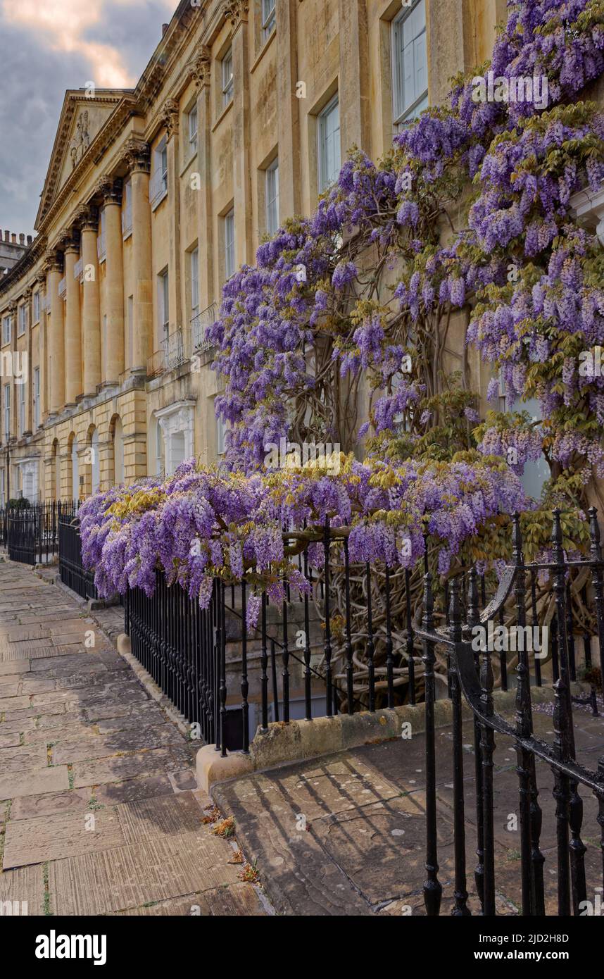 Spring colour in Bath Stock Photo - Alamy
