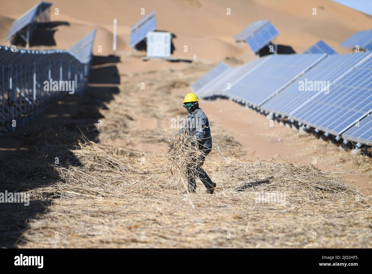 Desertification prevent china hi-res stock photography and images - Alamy