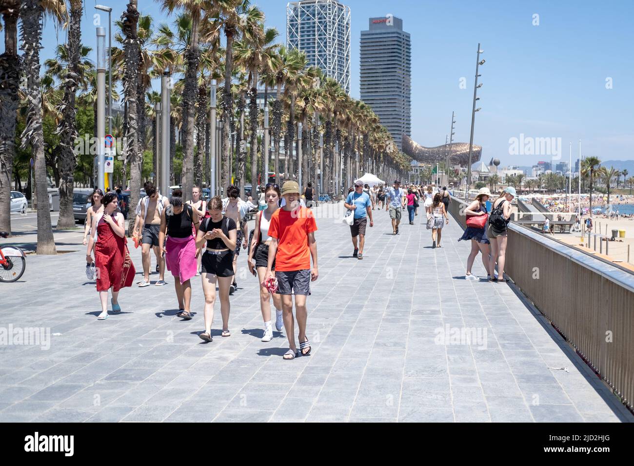 Fishing in barceloneta hi-res stock photography and images - Alamy