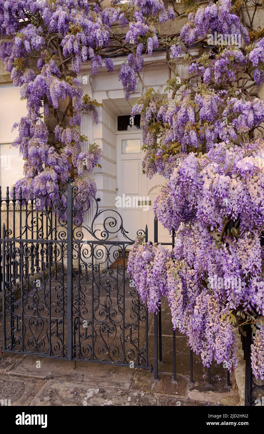 Spring colour in Bath Stock Photo - Alamy
