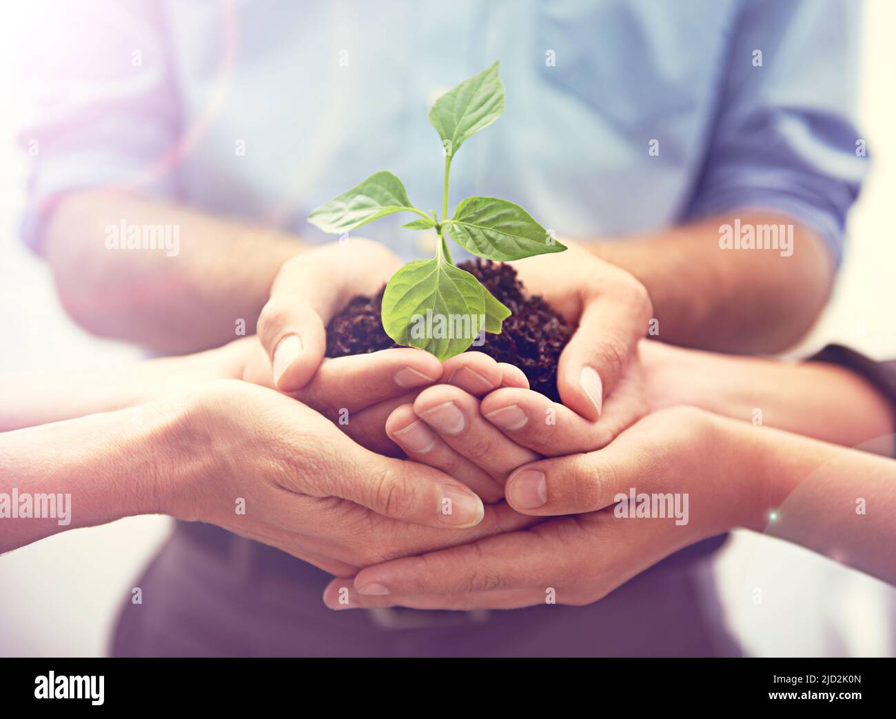 Working together towards a greener tomorrow. A cropped image of a hands ...