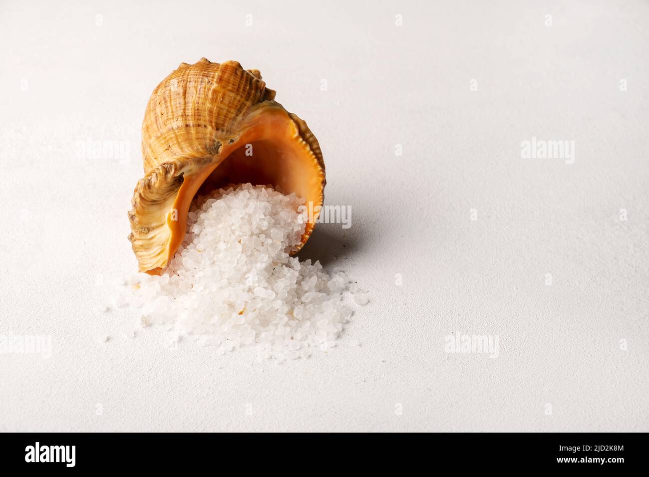 Organic spa sea salt is poured into a pile and a shell from the sea ...