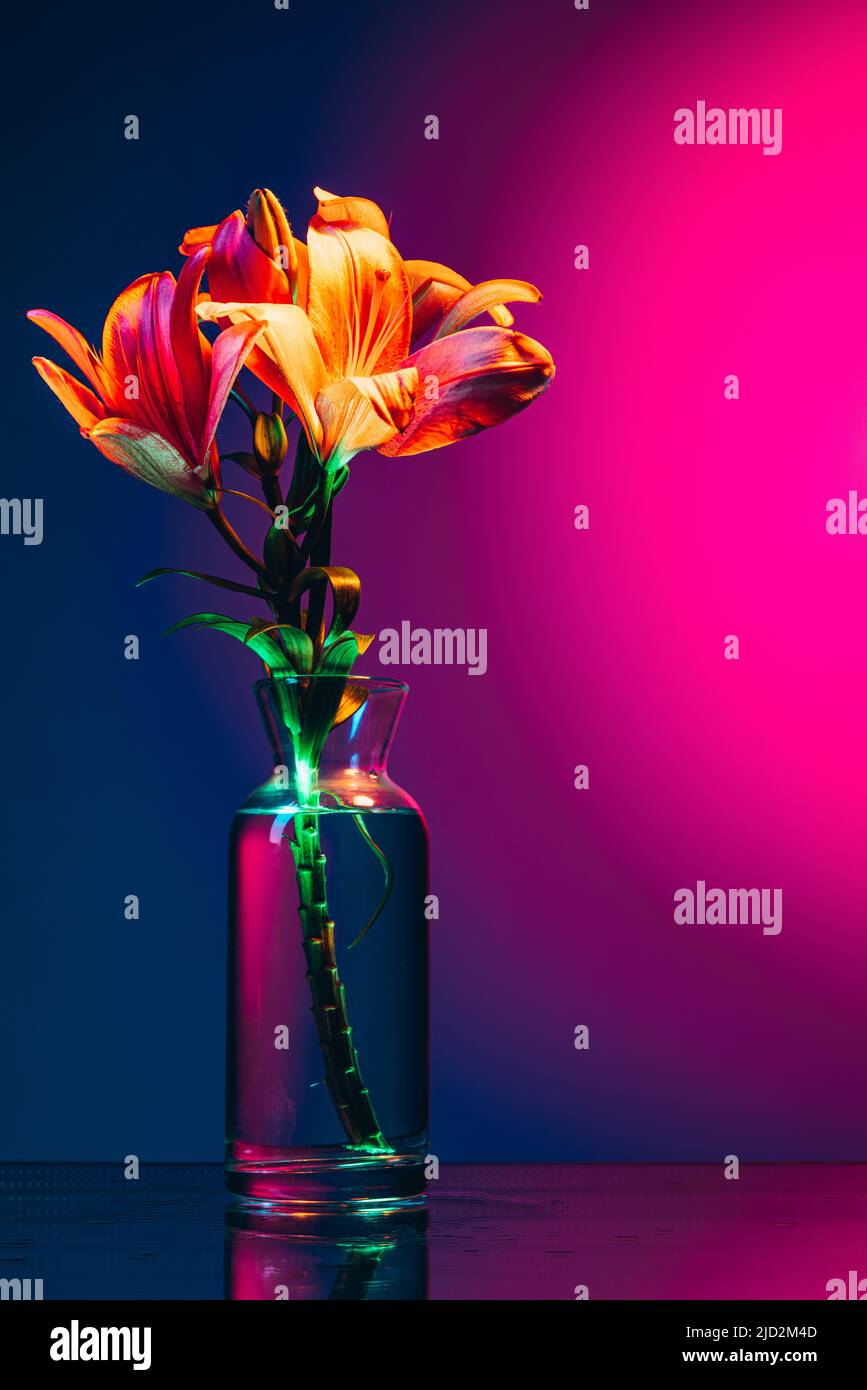 Summer bouquet of flowers, abstract floral composition in glass vase ...