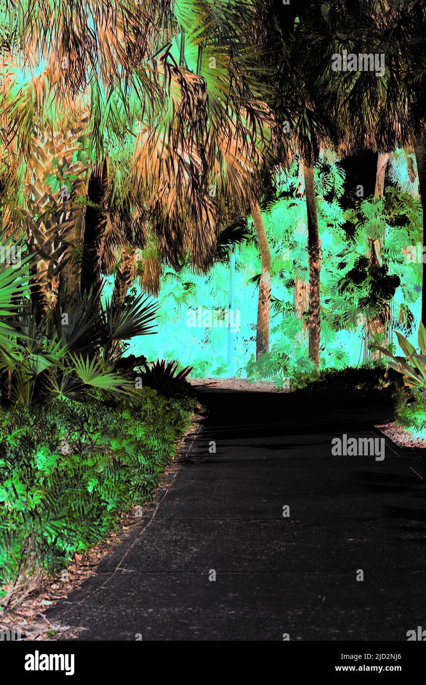 Beautiful tropical palm trees growing in the meadow in a color film ...