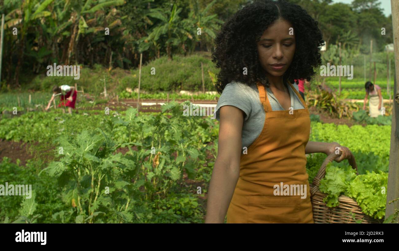 Urban farmers working on small community agriculture. Group of people ...