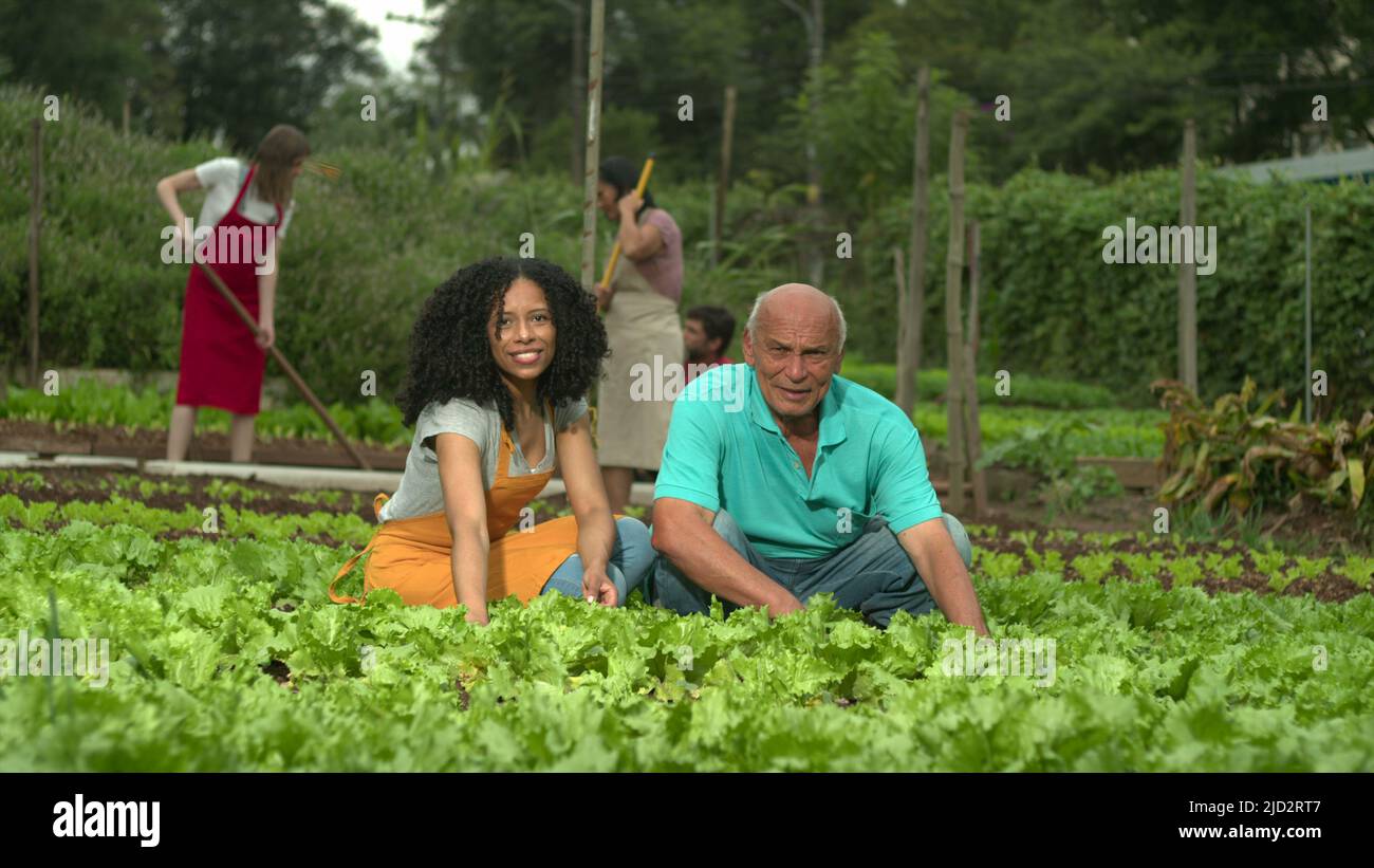 Small farmers smiling at camera working on a community farm cultivating ...