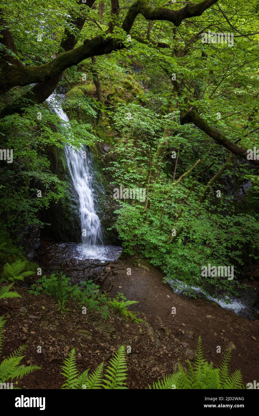 The waterfalls of Tom Gill below Tarn Hows, Lake District, England ...