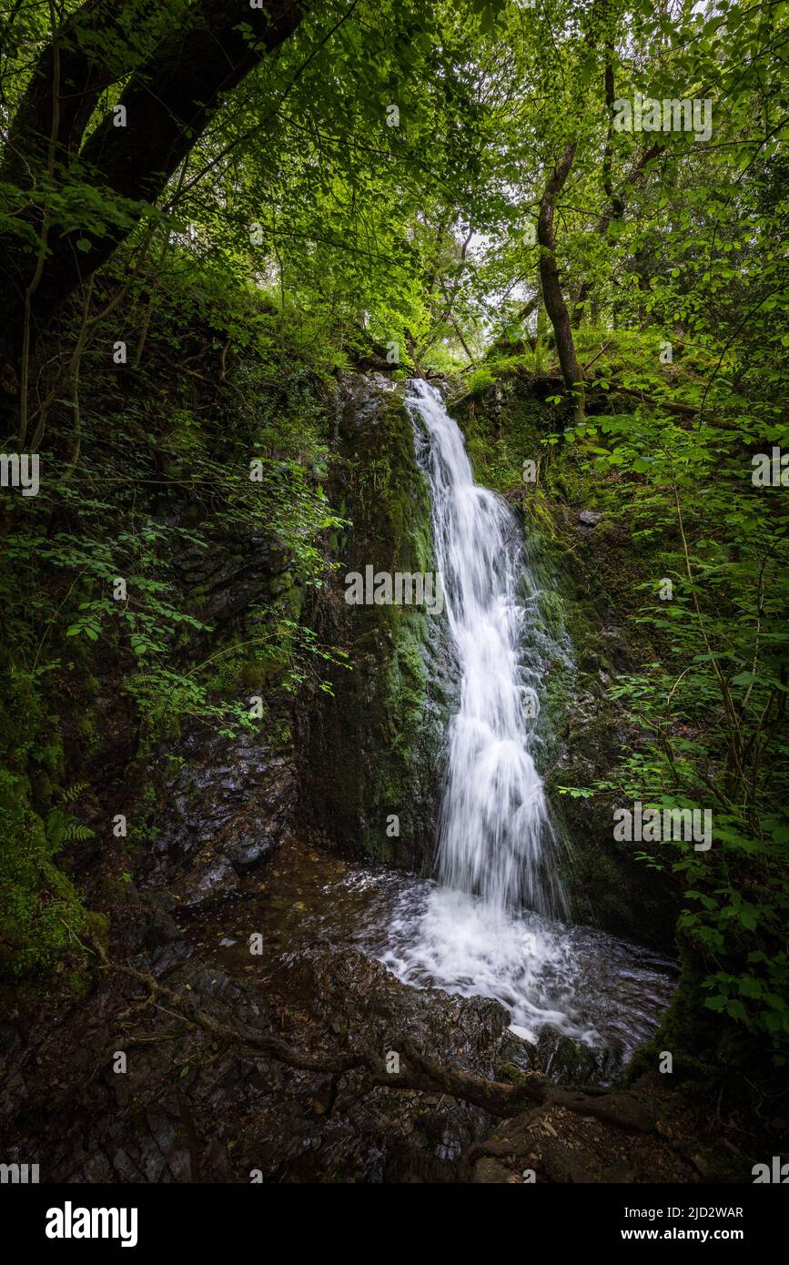 The waterfalls of Tom Gill below Tarn Hows, Lake District, England ...