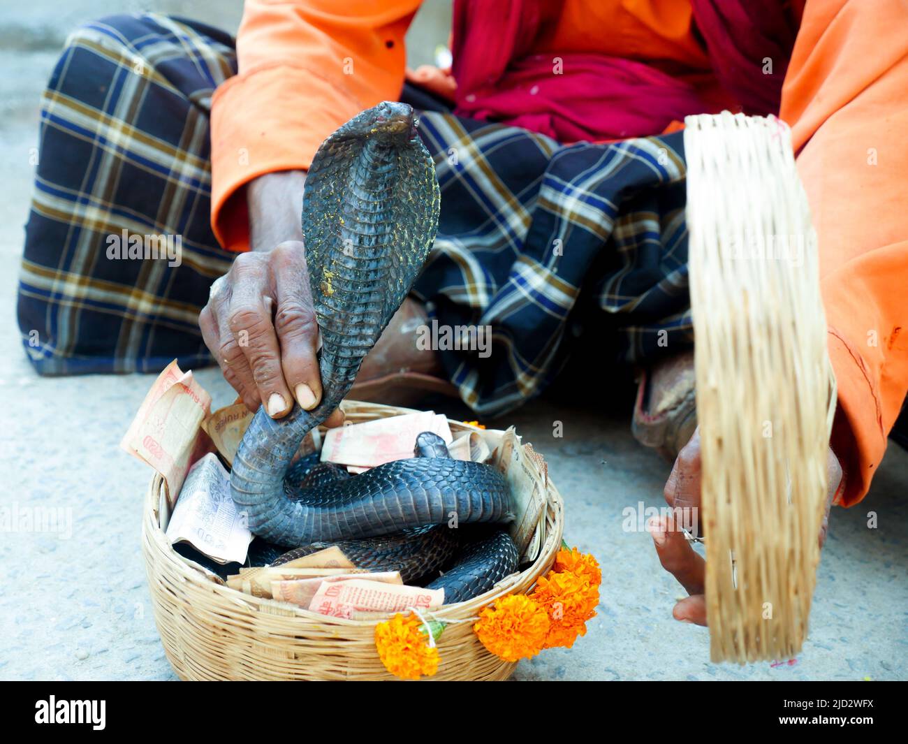 Man playing traditional instrument pushkar hi-res stock photography and ...