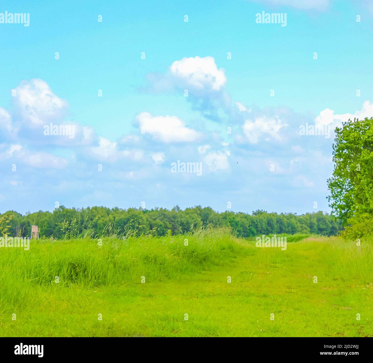 North German agricultural field forest blue sky and nature landscape ...