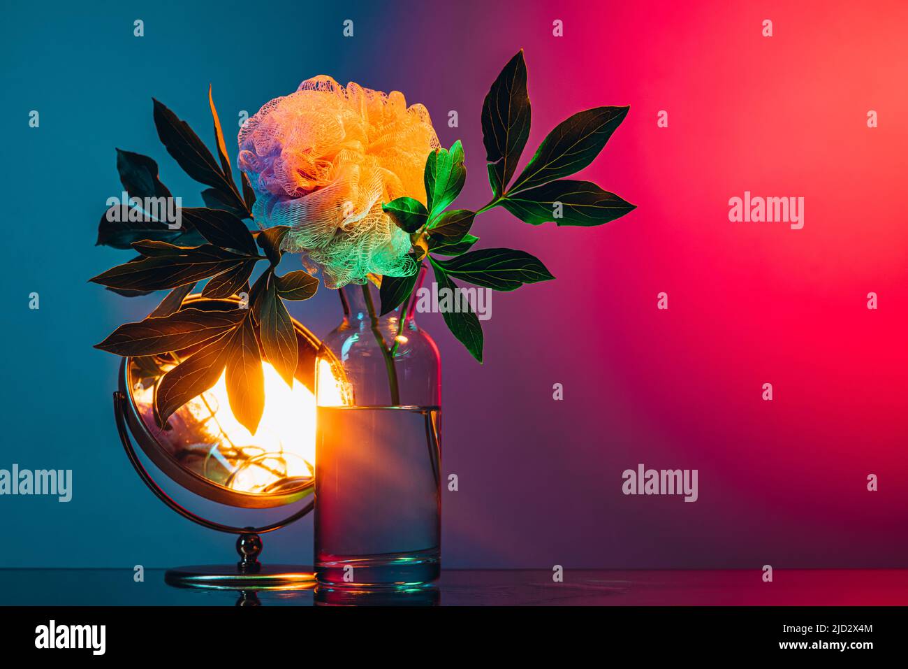 Creative floral composition over dark colored background in neon light ...
