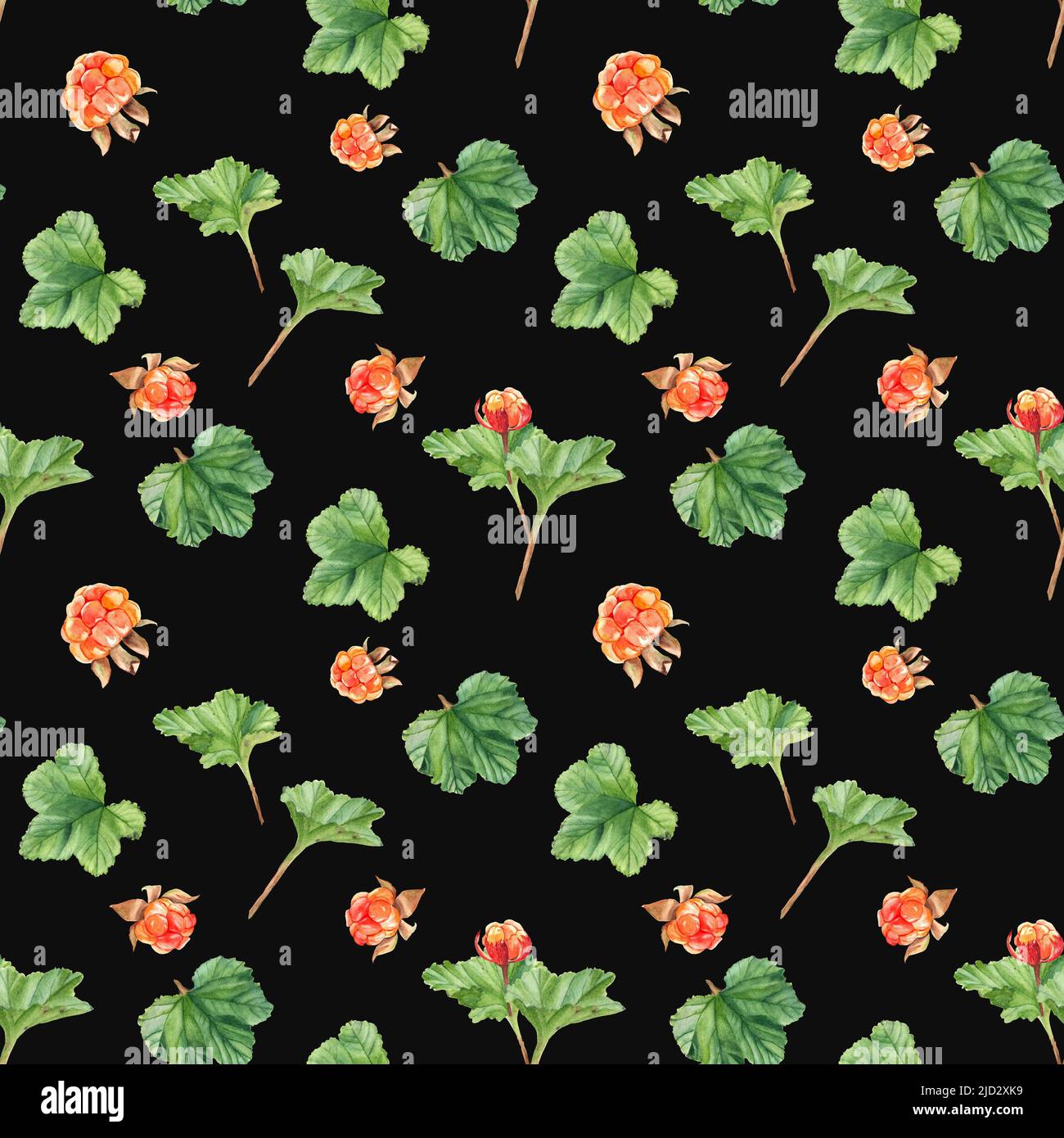 Seamless cloudberry pattern on a black background. Orange juicy berries and green leaves ...