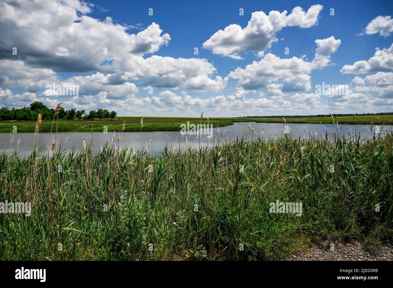 Ukraine. 16th June, 2022. Clouds roam over the green landscape encasing ...