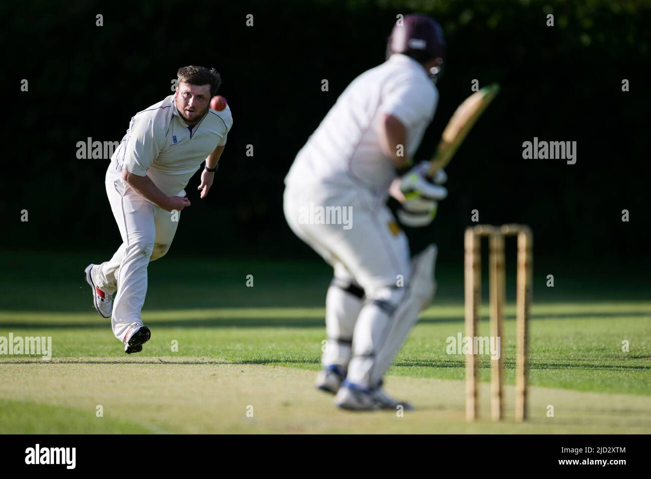 Cricket bowler in action Stock Photo - Alamy