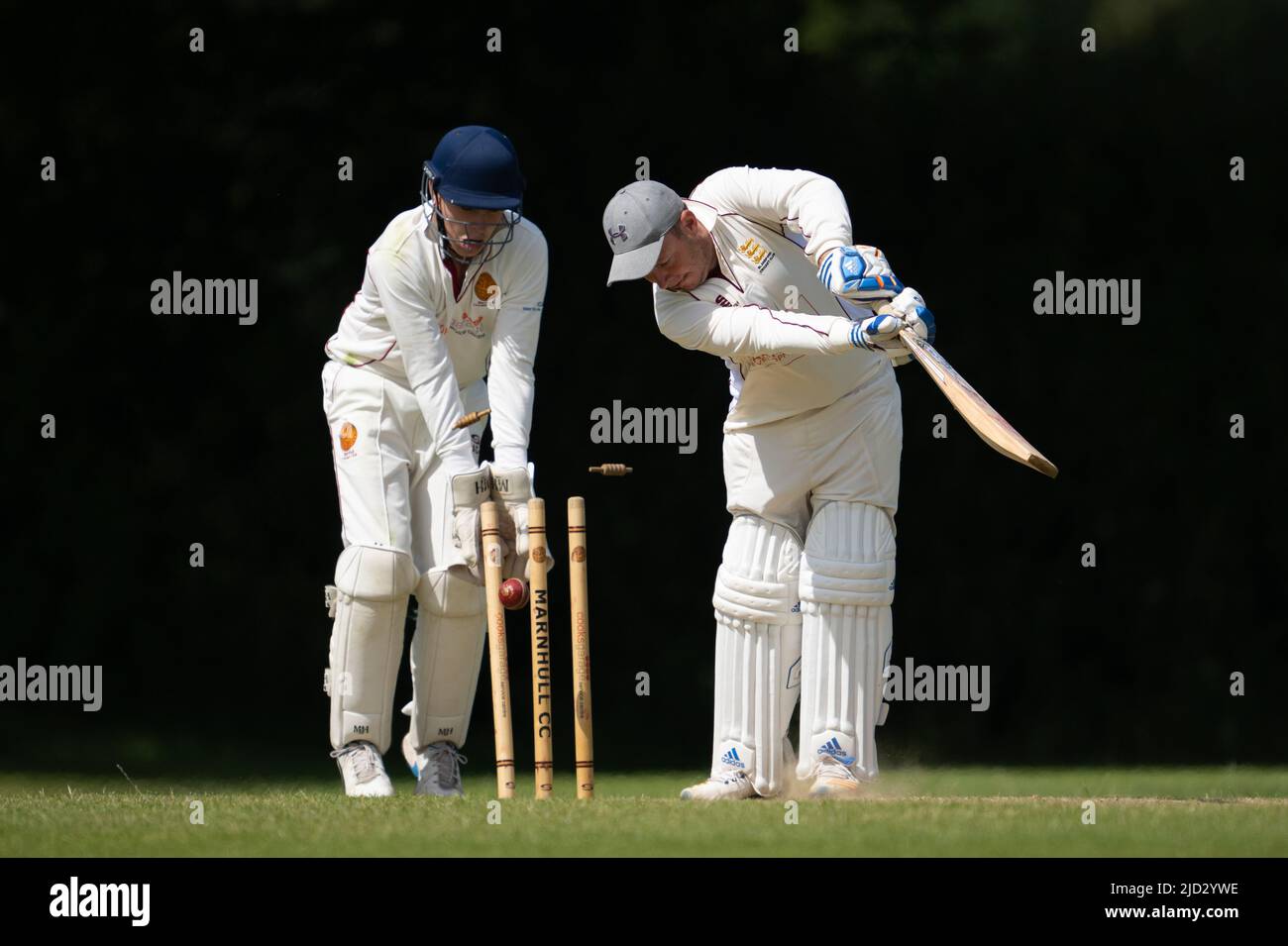 Batsman being bowled out Stock Photo - Alamy