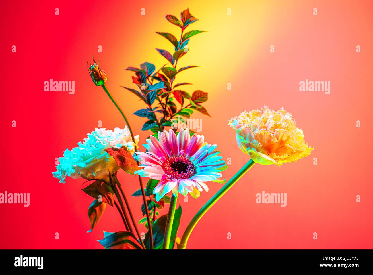 Beautiful bouquet of flowers, abstract floral composition in glass vase ...