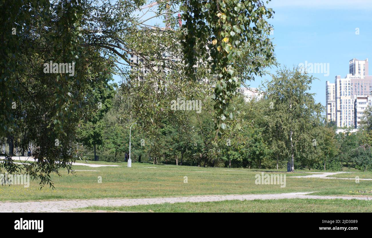 summer in city park at dry sunny day Stock Photo - Alamy