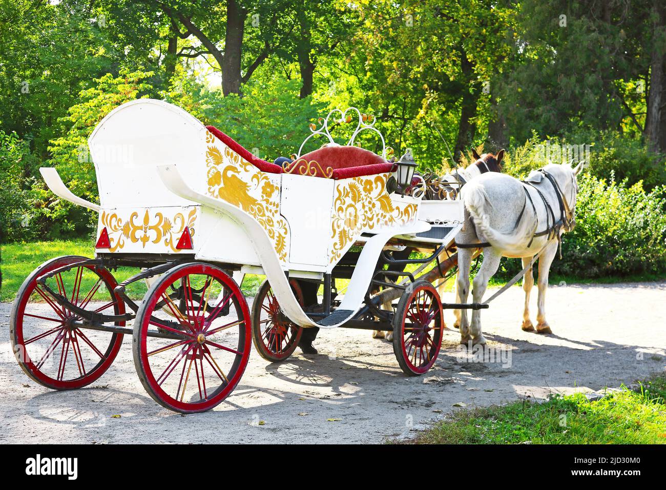 Very beautiful white cart in the park Oleksandriya, Bila Tserkva, Kyiv ...