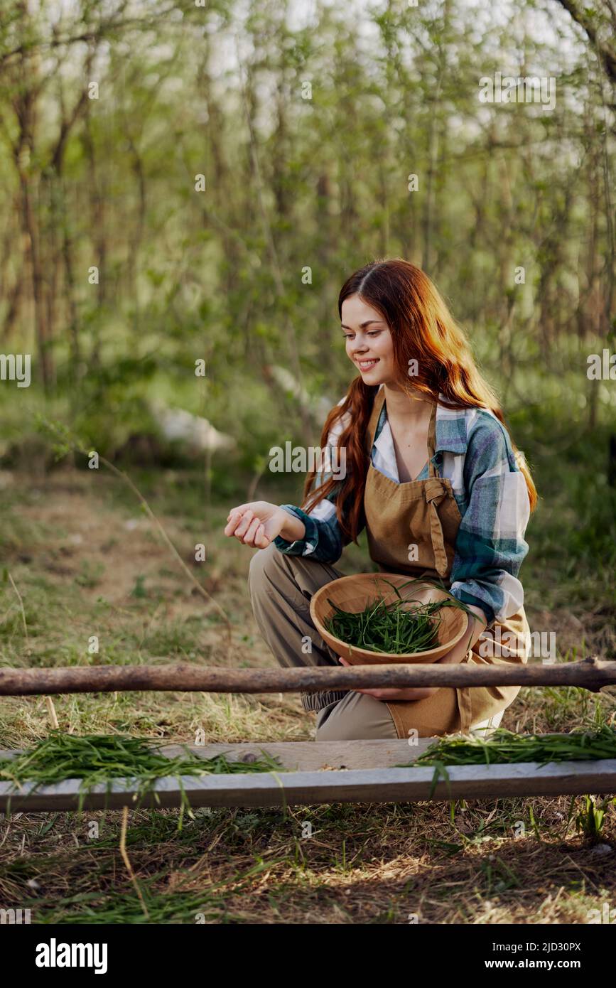 Girl bird farm worker smiles and is happy pouring food into the feeder ...