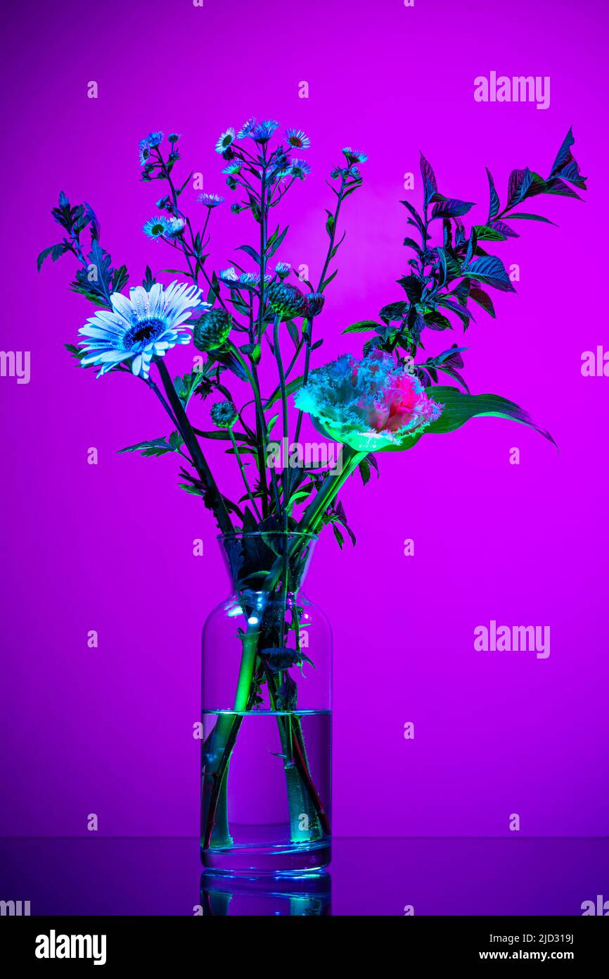 Neon vase hi-res stock photography and images - Alamy
