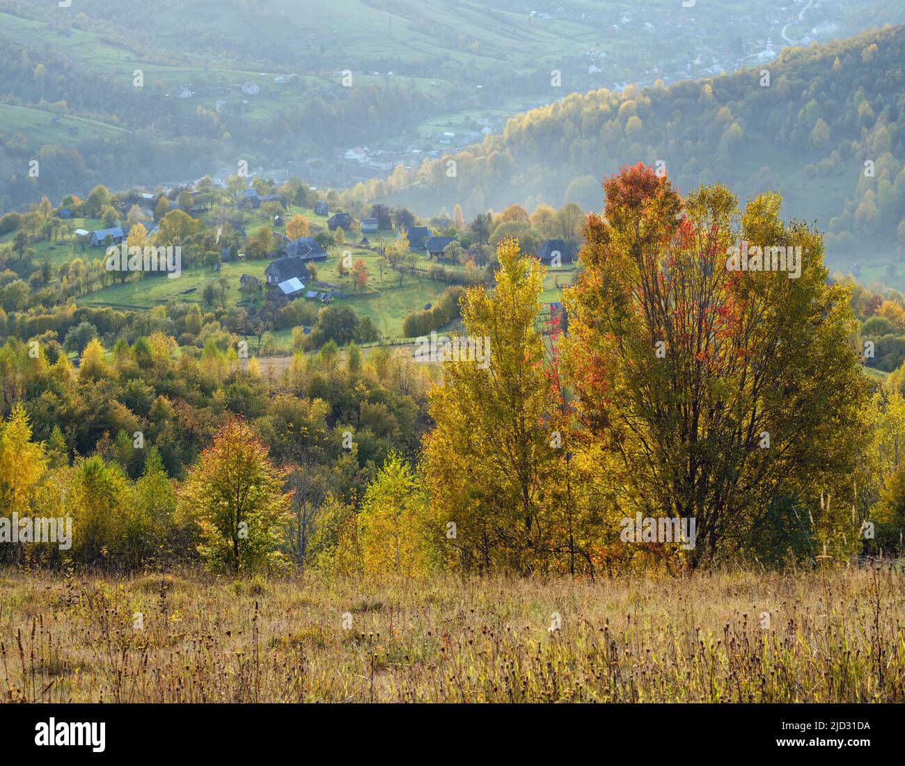Autumn morning Carpathian Mountains calm picturesque scene, Ukraine. Peaceful traveling ...