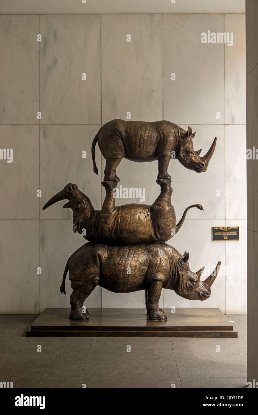 The Last Three white rhino sculpture in midtown Manhattan NYC Stock ...
