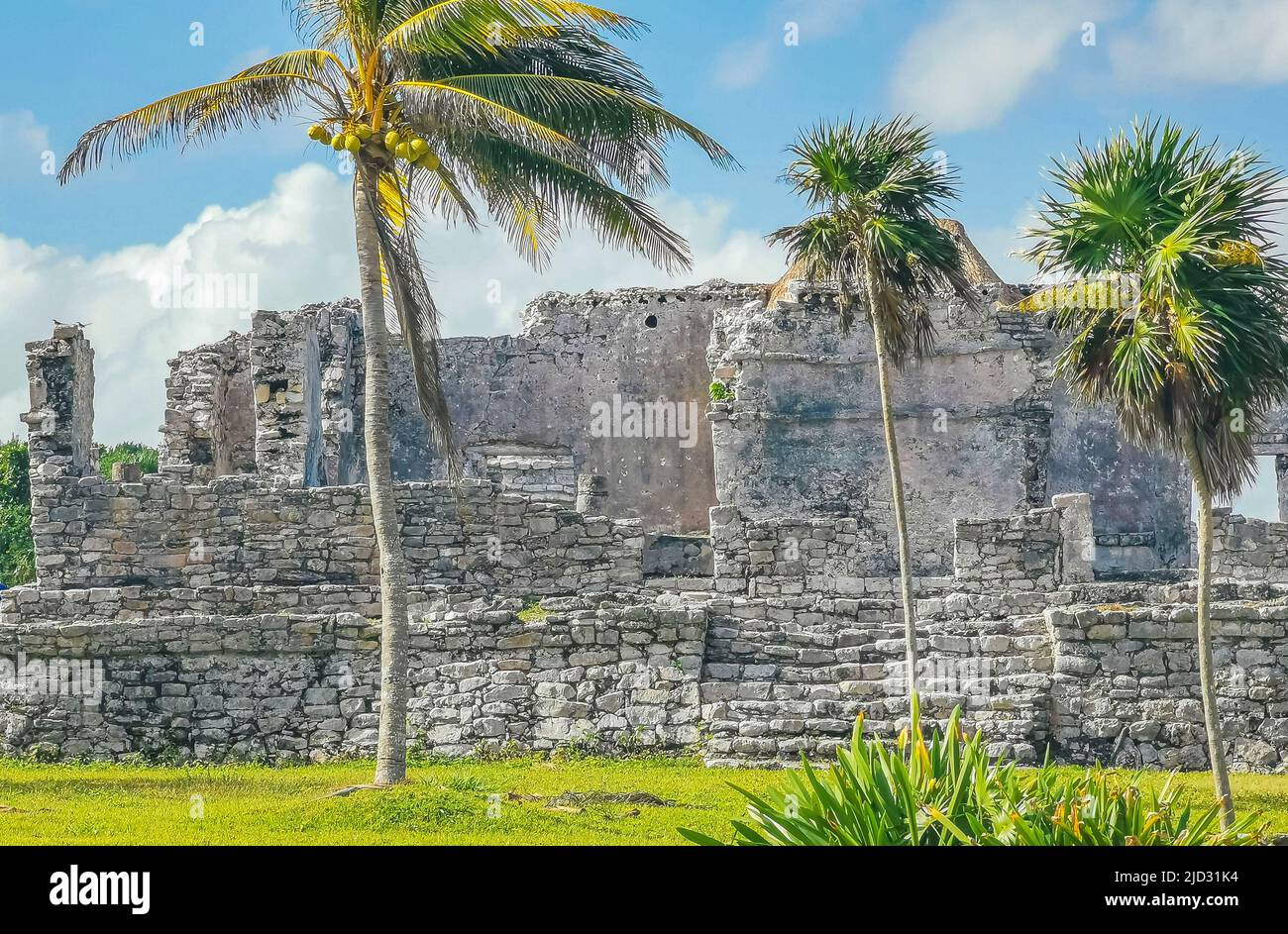 Ancient Tulum ruins Mayan site with temple ruins pyramids and artifacts ...