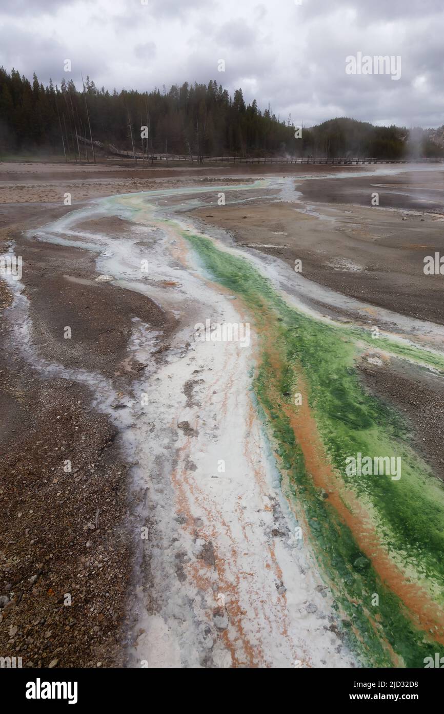 Hot Spring Landscape with colorful ground formation Stock Photo - Alamy