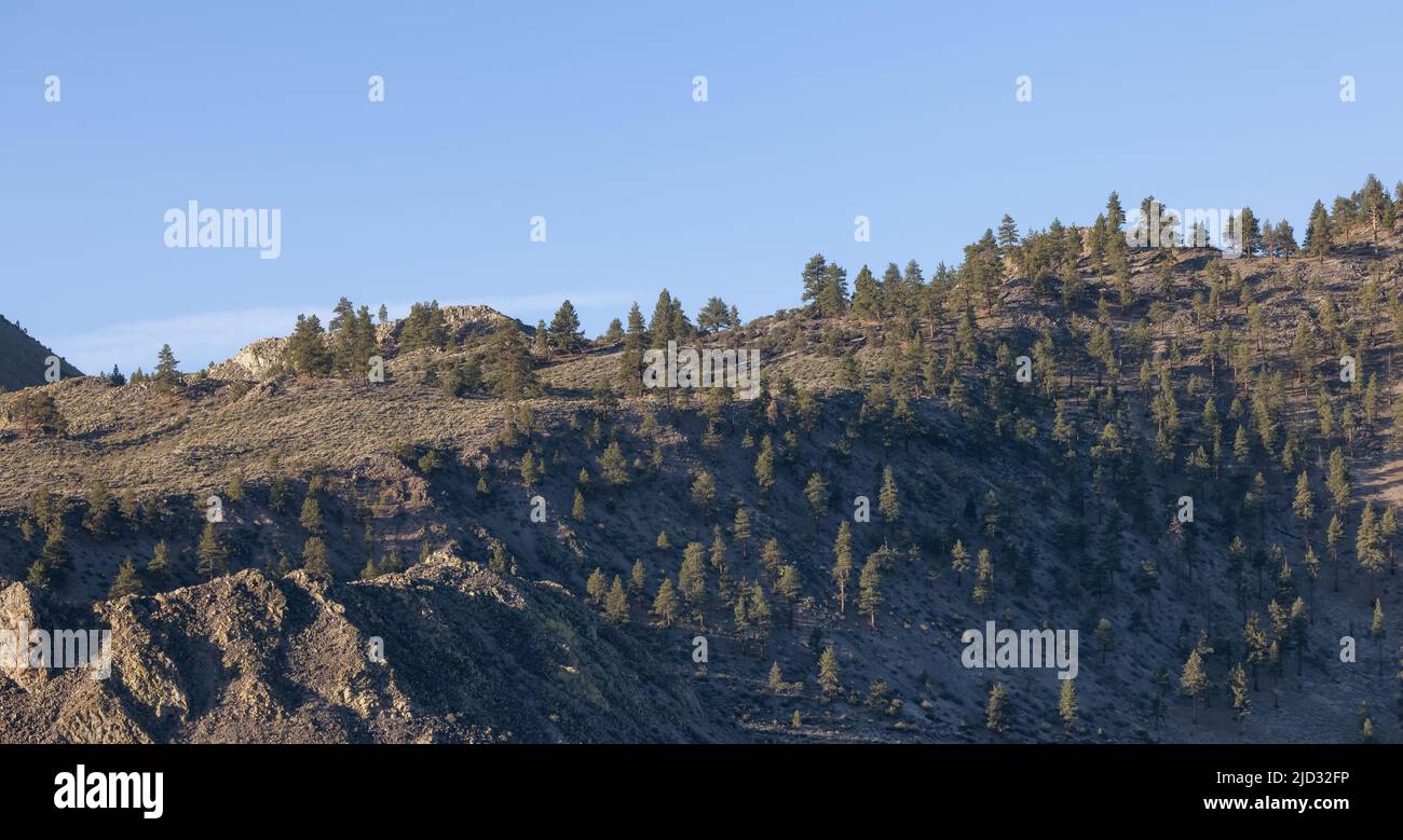 Dry rocky desert mountain landscape with trees Stock Photo - Alamy