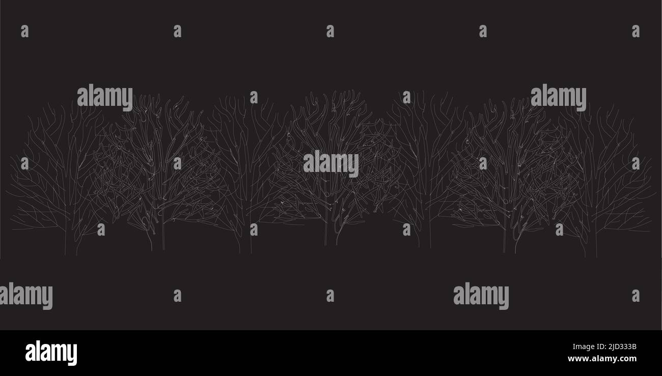 Black forest vector illustration, background Stock Vector Image & Art ...