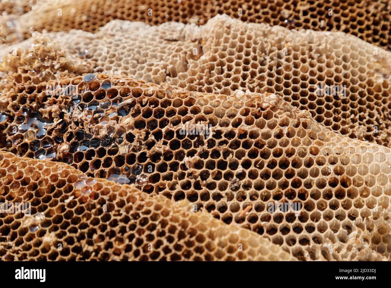Thin layers of Natural fresh honeycombs pile and beeswax and honey on ...