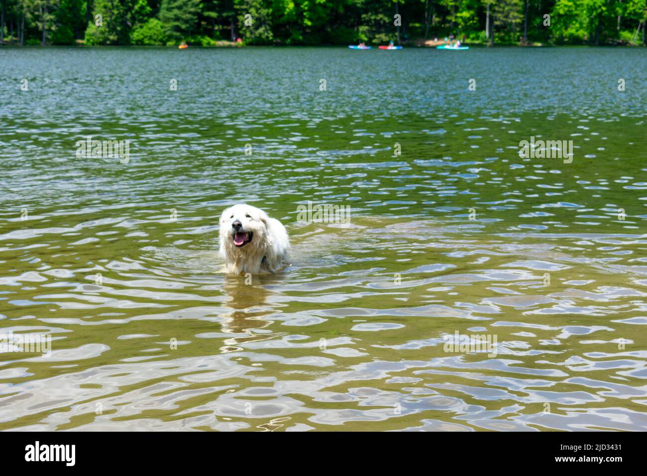 Harrison camping hi-res stock photography and images - Alamy